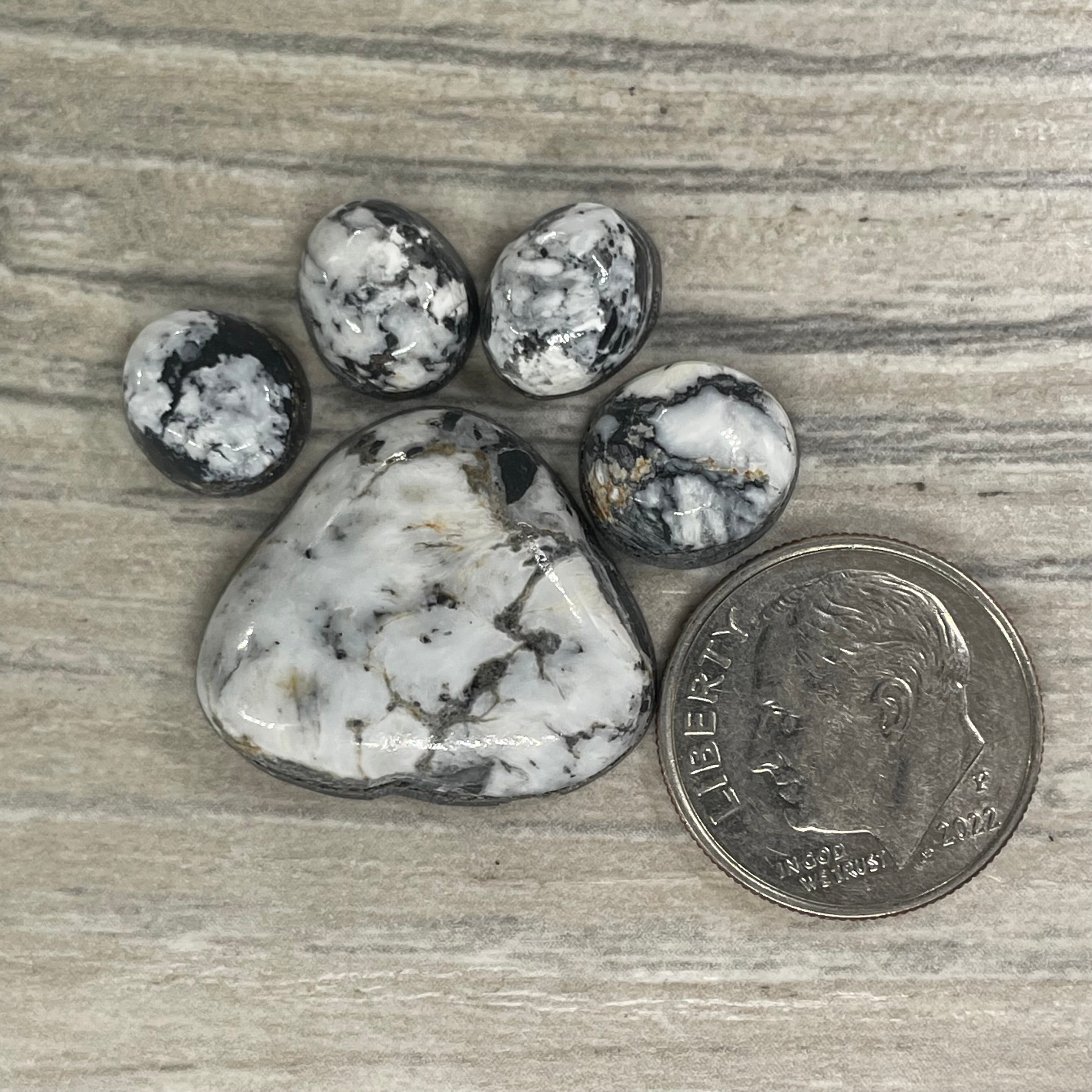 White Buffalo Paw – Peterson Turquoise