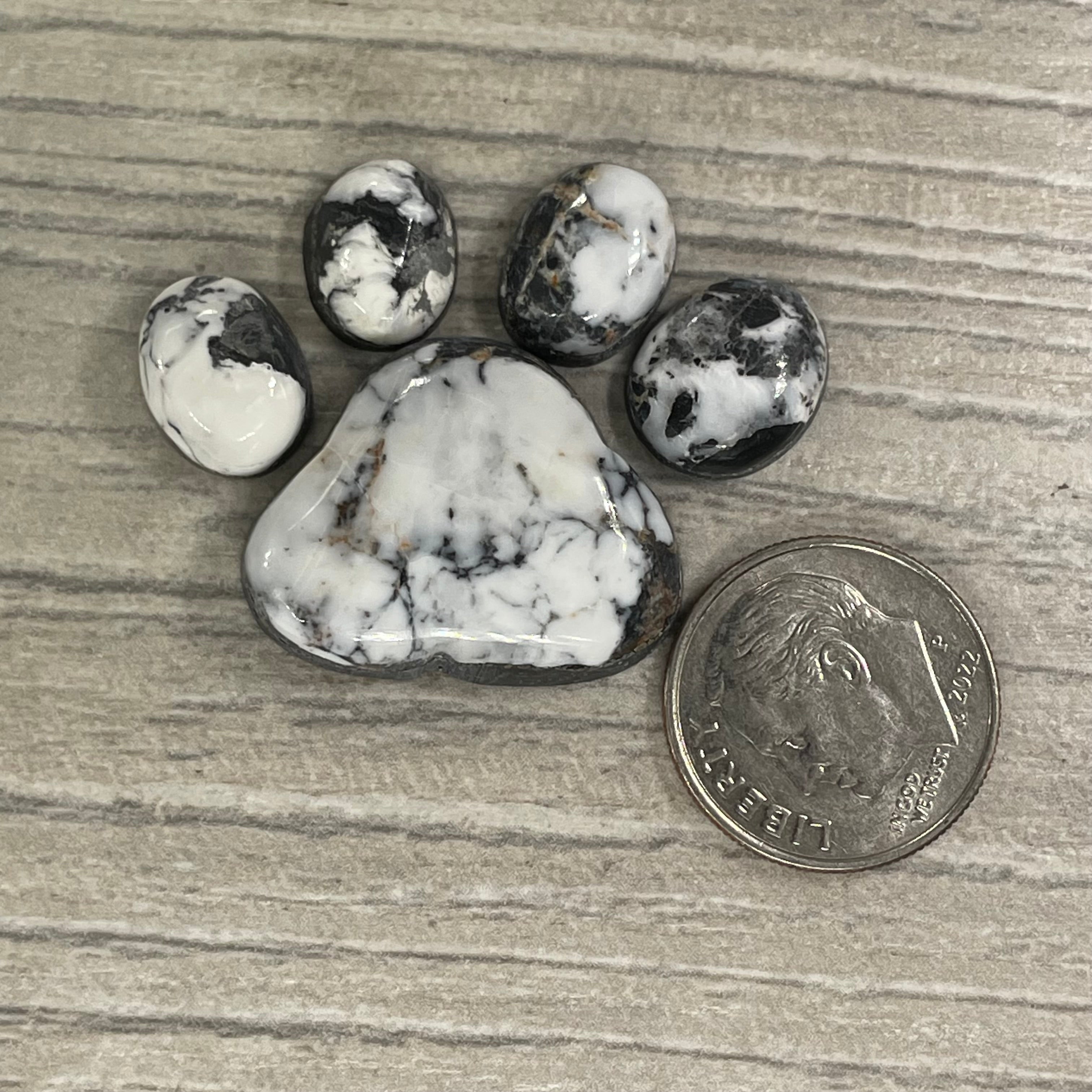 White Buffalo Paw – Peterson Turquoise