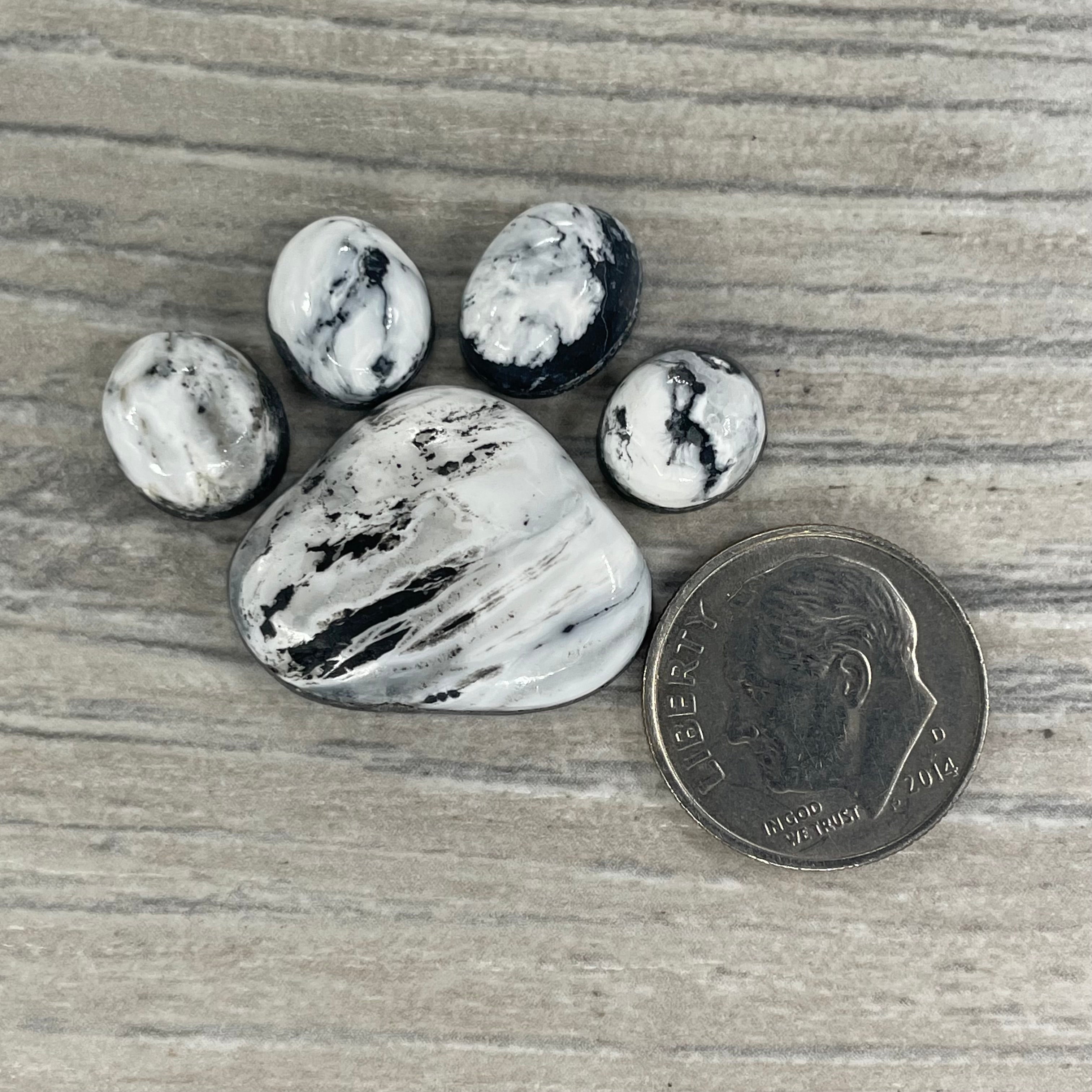 White Buffalo Paw – Peterson Turquoise