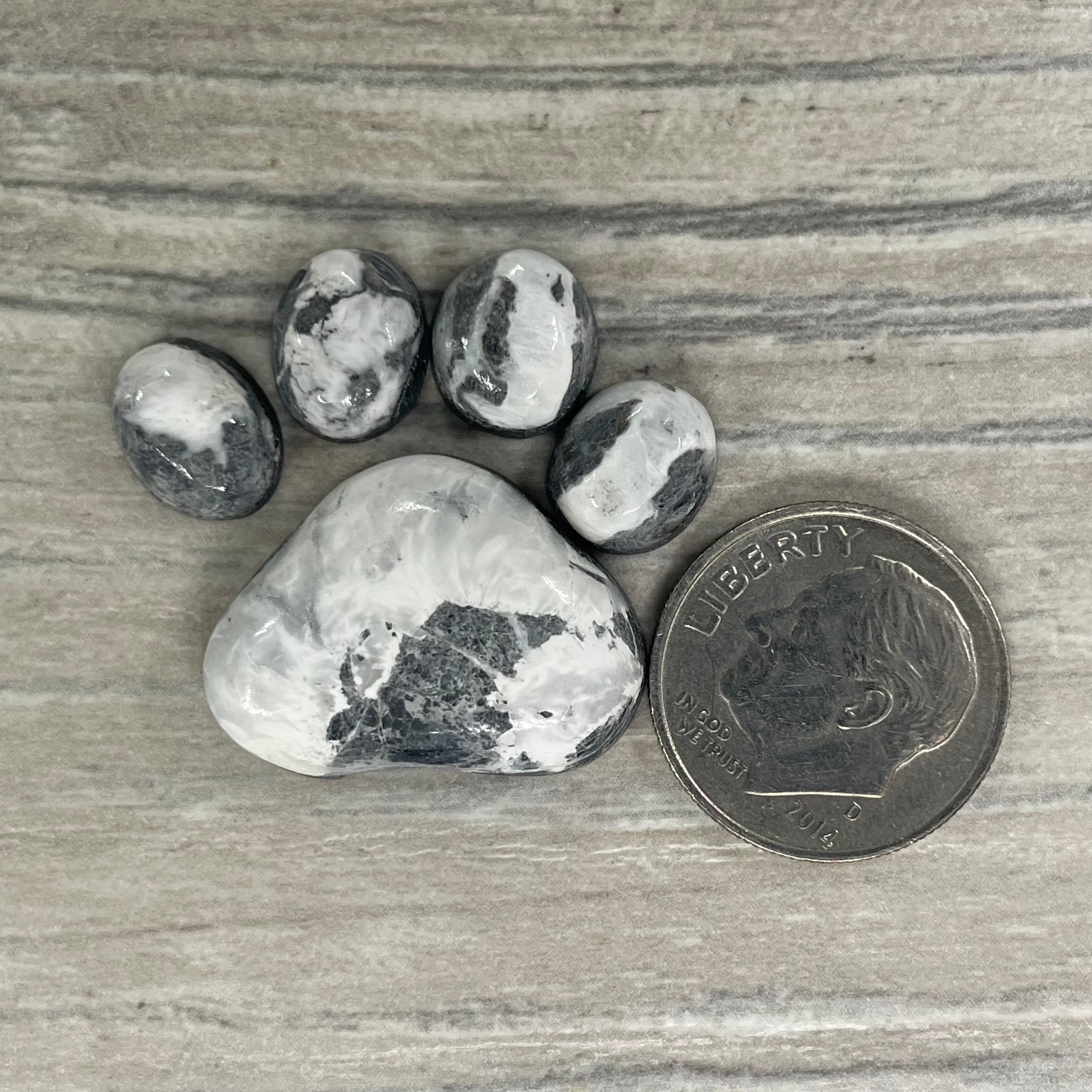 White Buffalo Paw – Peterson Turquoise