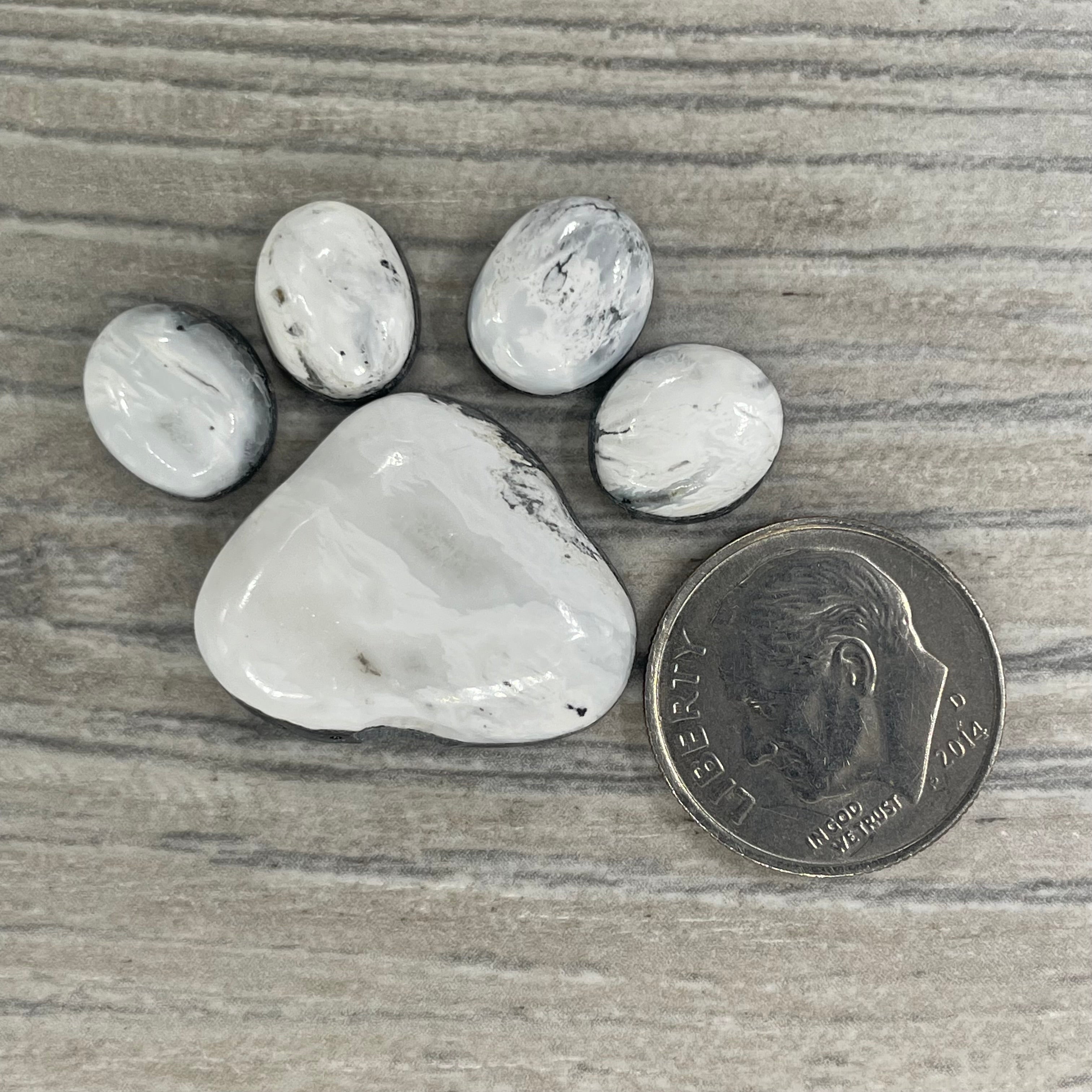 White Buffalo Paw – Peterson Turquoise