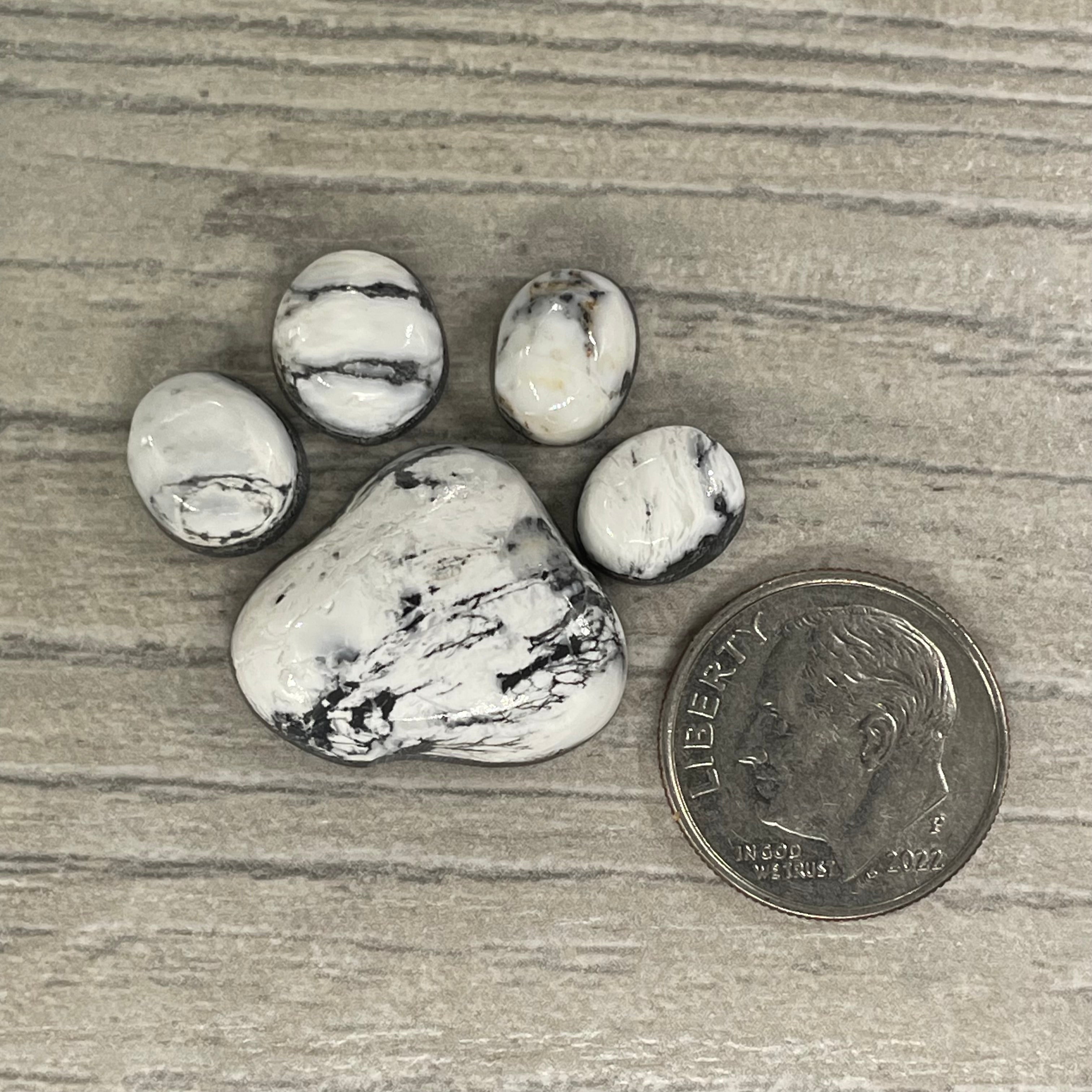 White Buffalo Paw – Peterson Turquoise