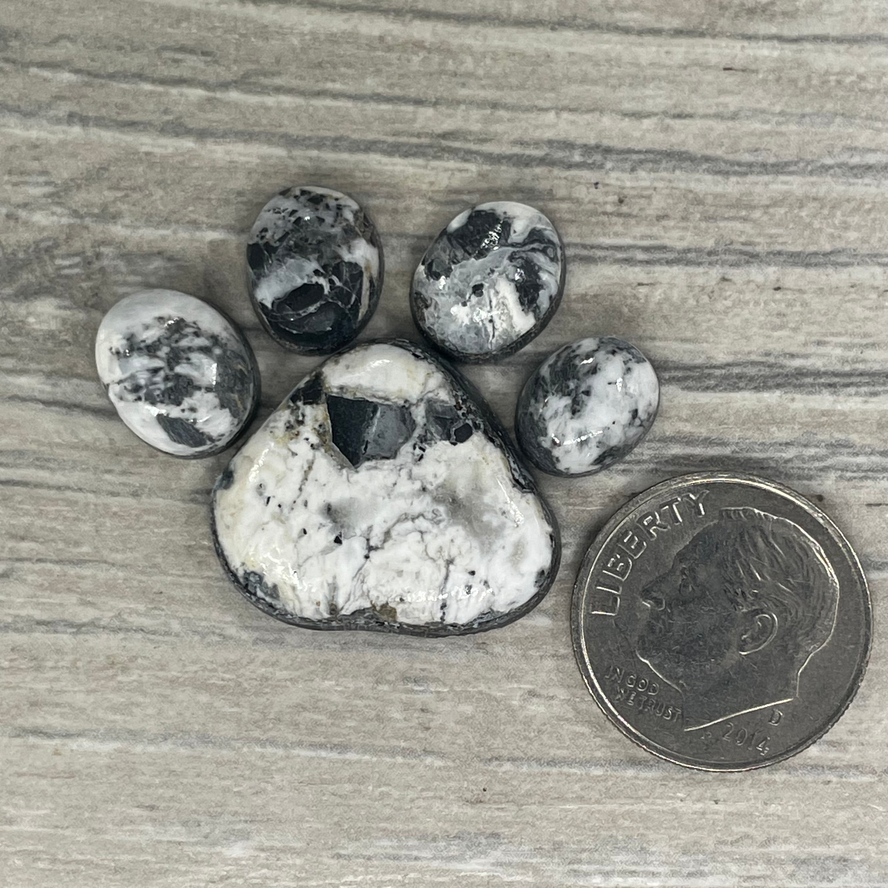 White Buffalo Paw – Peterson Turquoise