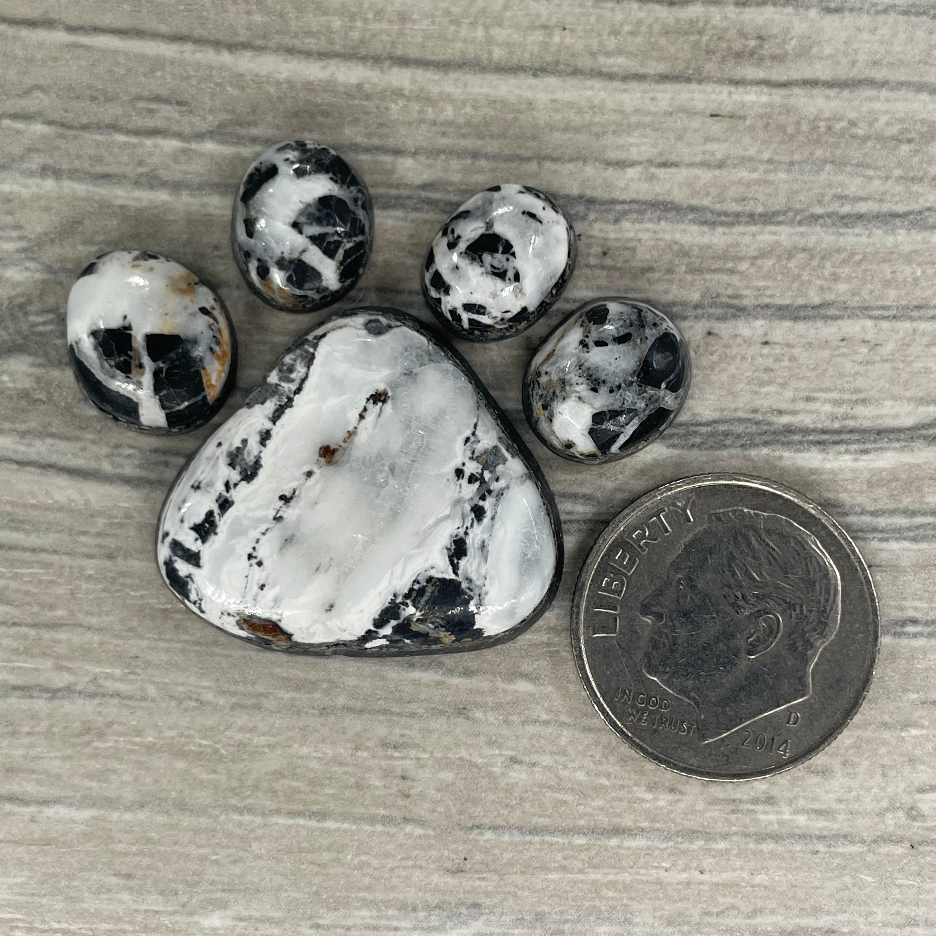 White Buffalo Paw – Peterson Turquoise