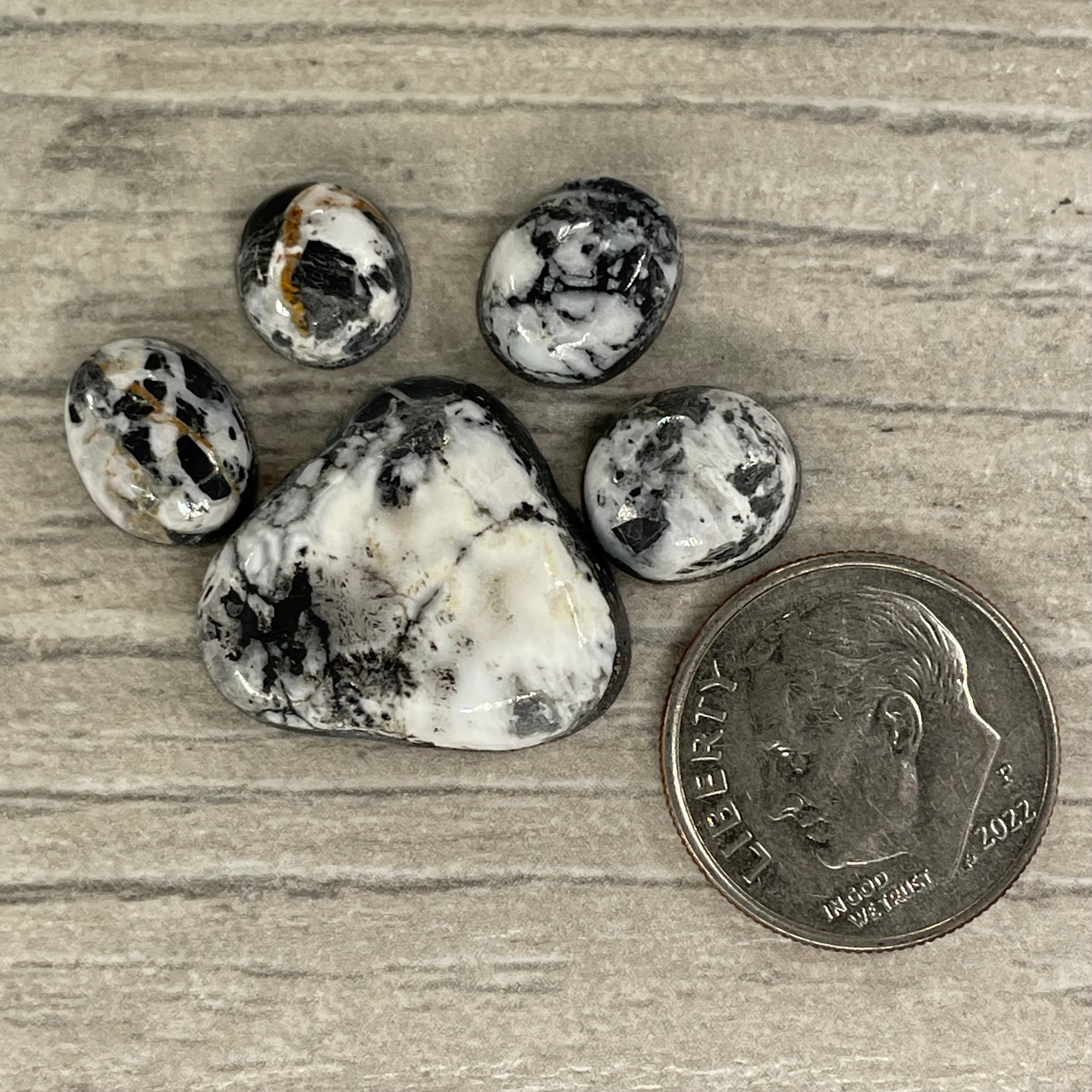 White Buffalo Paw – Peterson Turquoise