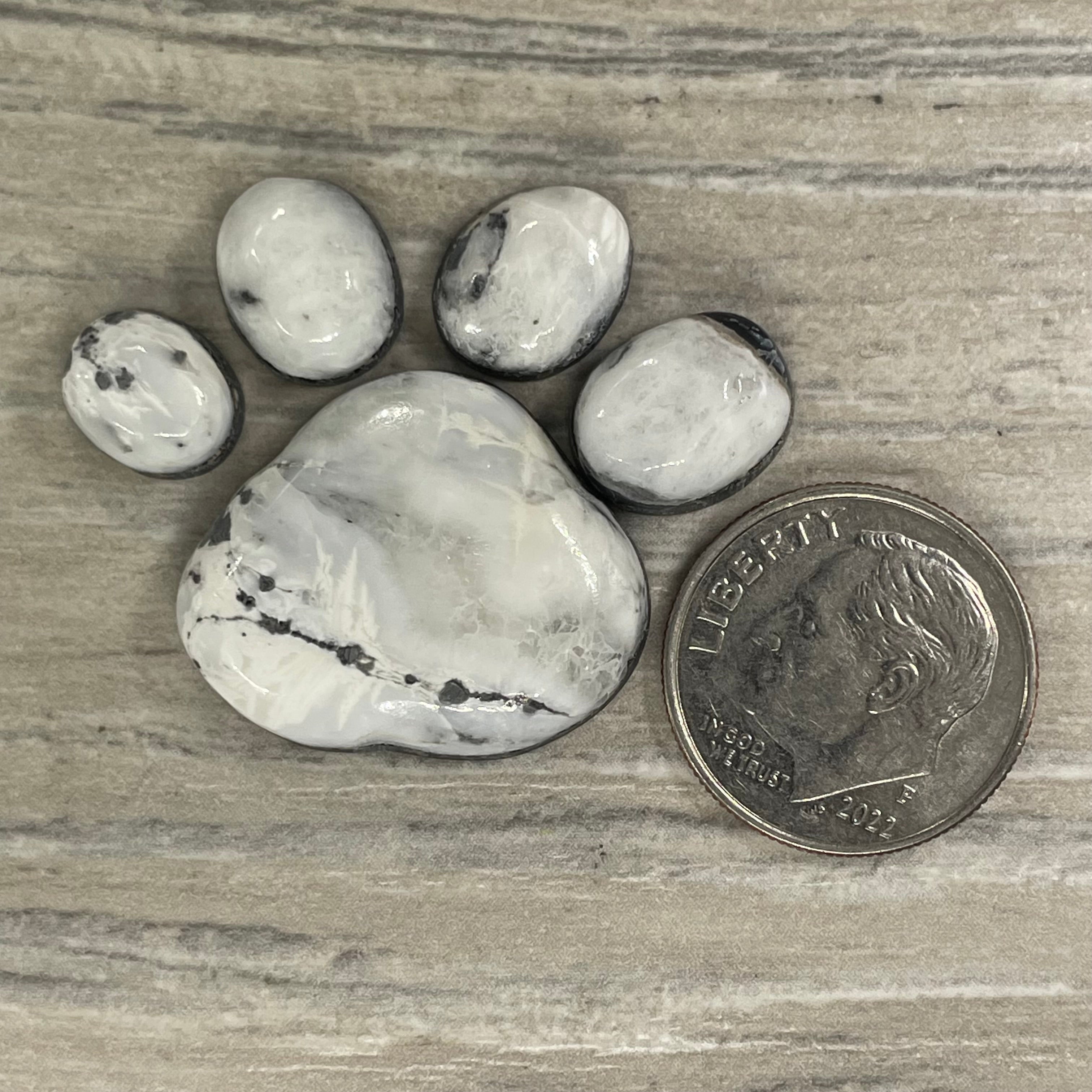 White Buffalo Paw – Peterson Turquoise