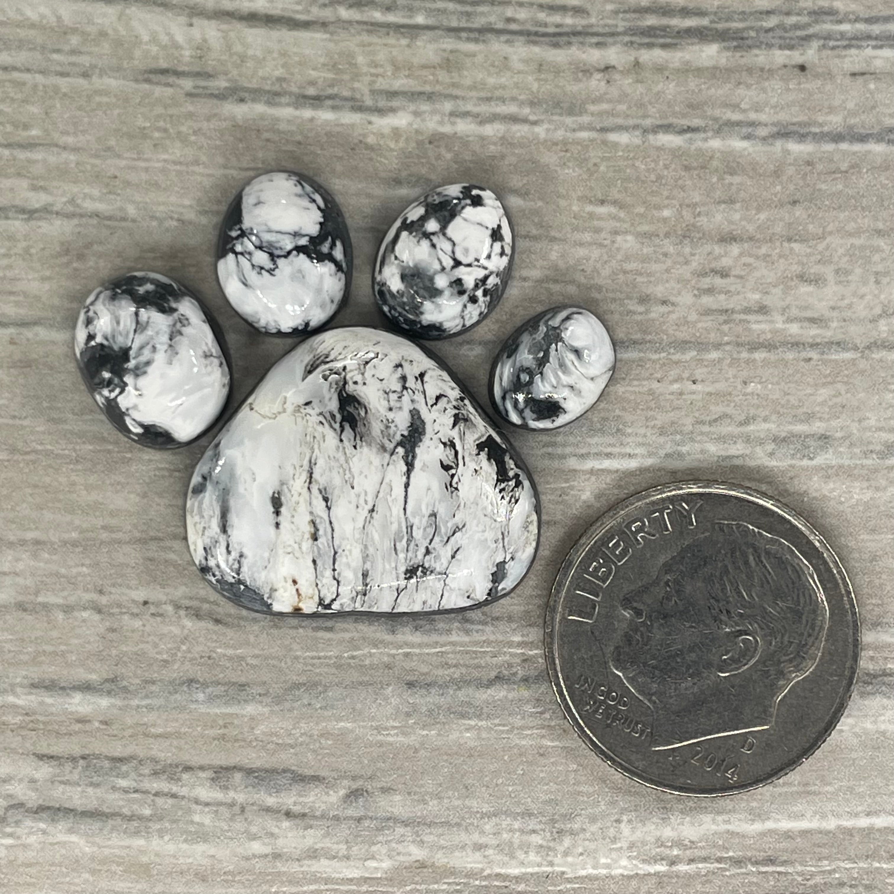 White Buffalo Paw – Peterson Turquoise