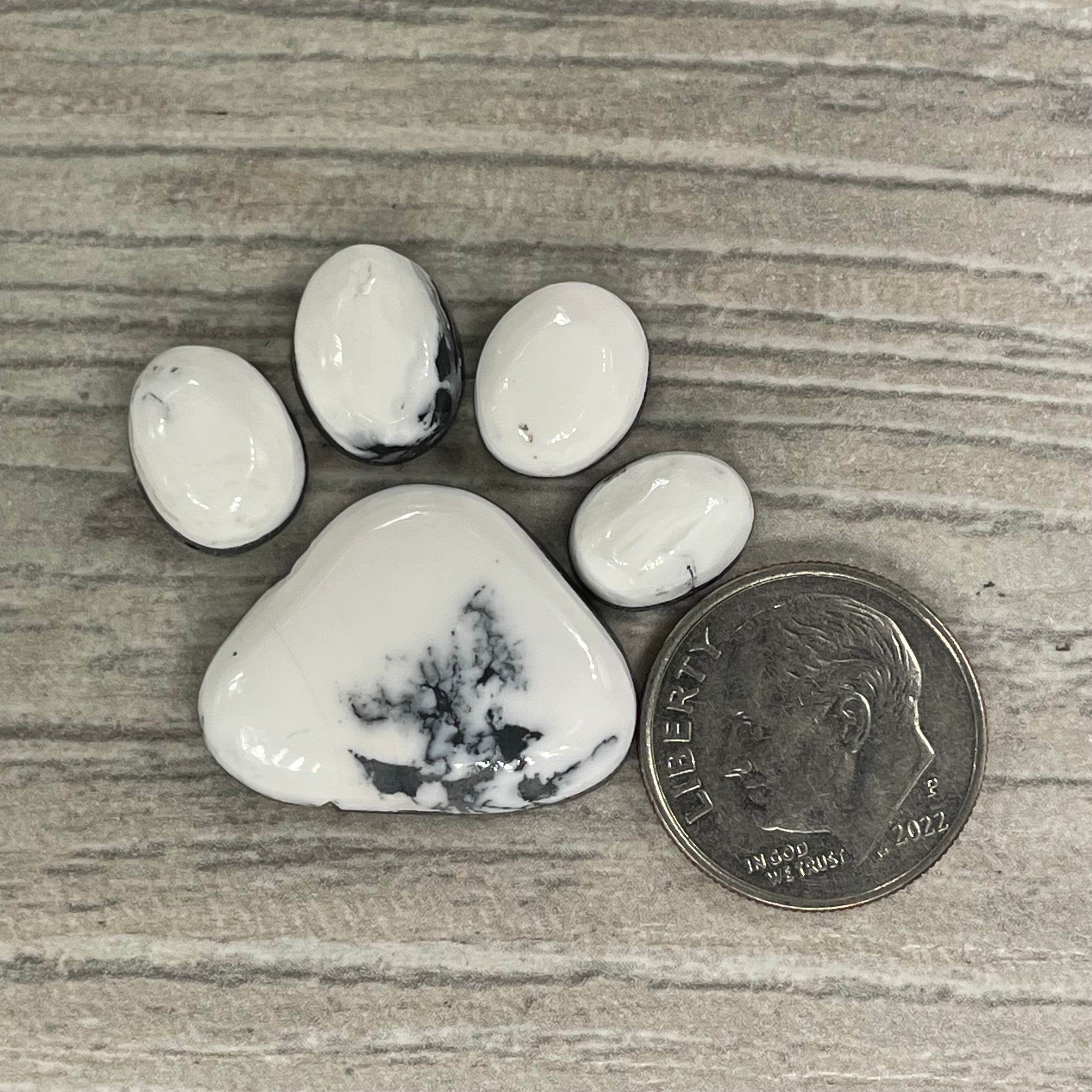 White Buffalo Paw – Peterson Turquoise