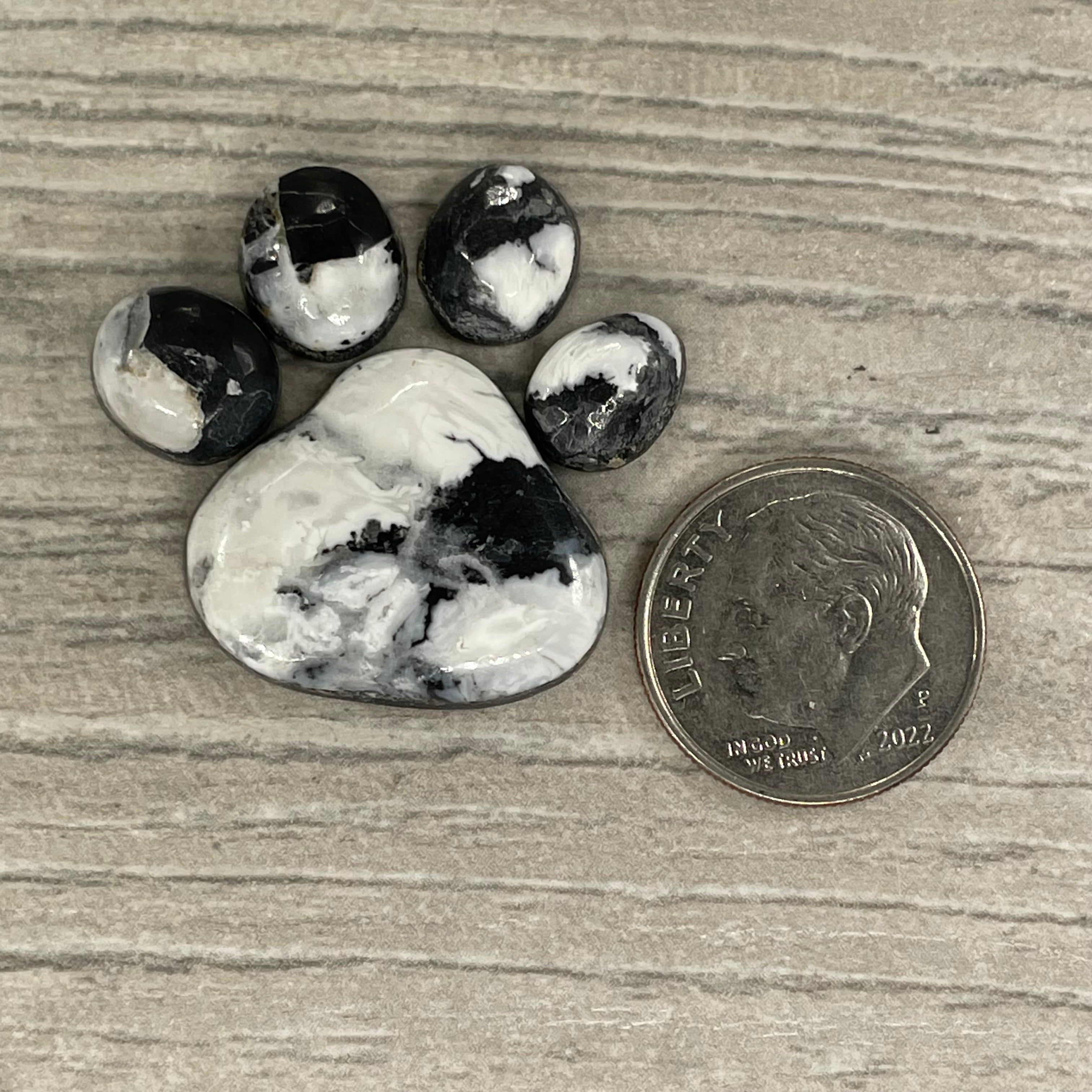 White Buffalo Paw – Peterson Turquoise