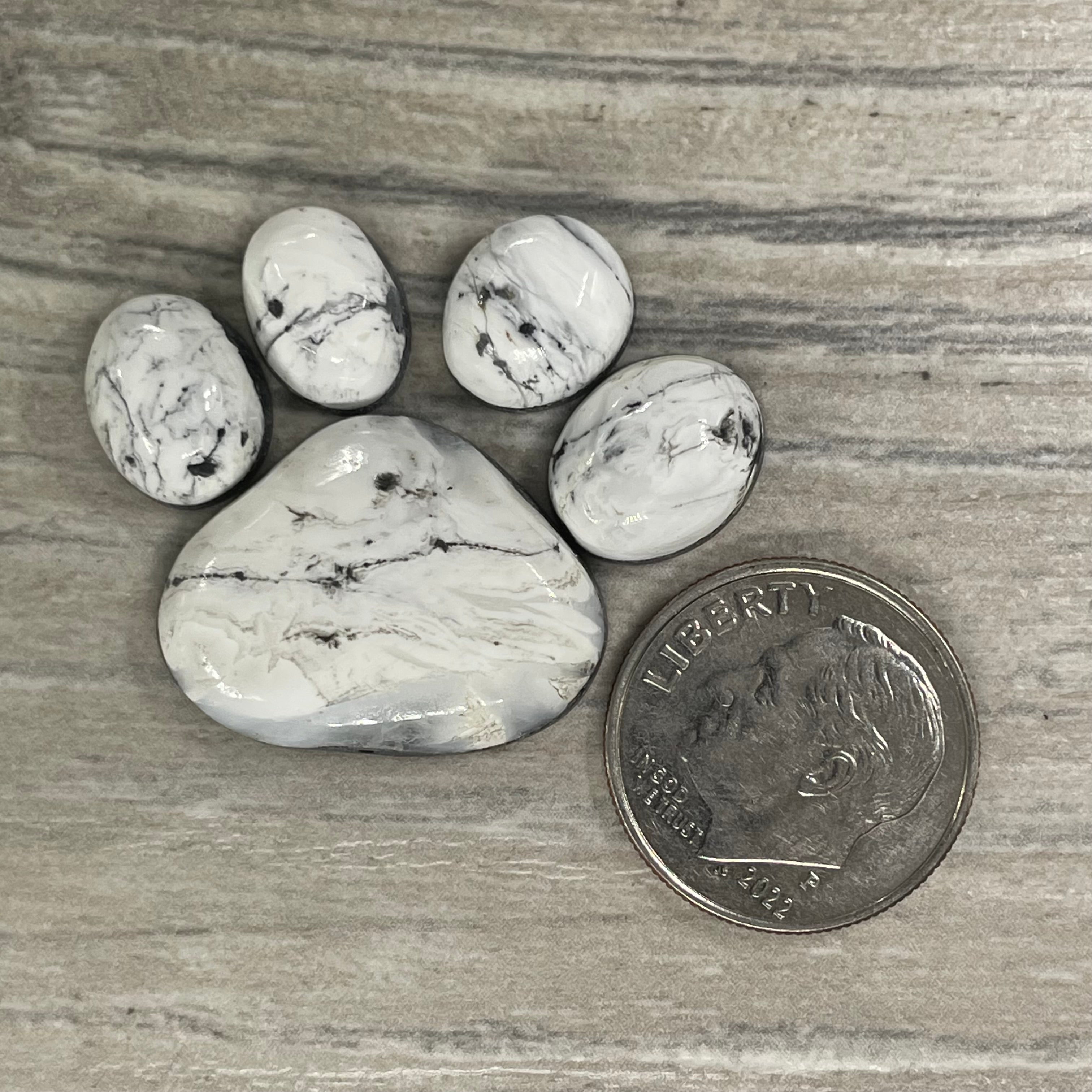 White Buffalo Paw – Peterson Turquoise