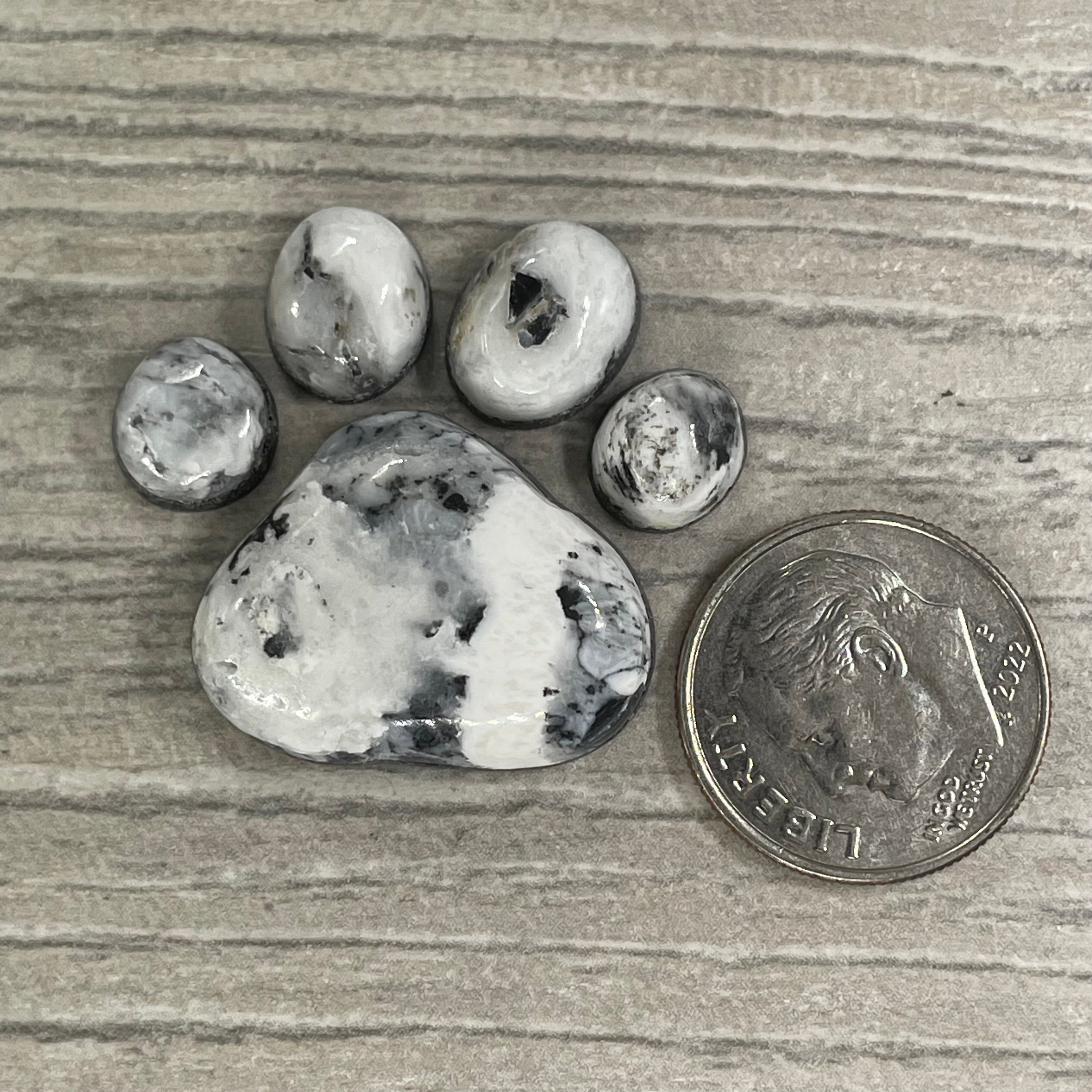 White Buffalo Paw – Peterson Turquoise