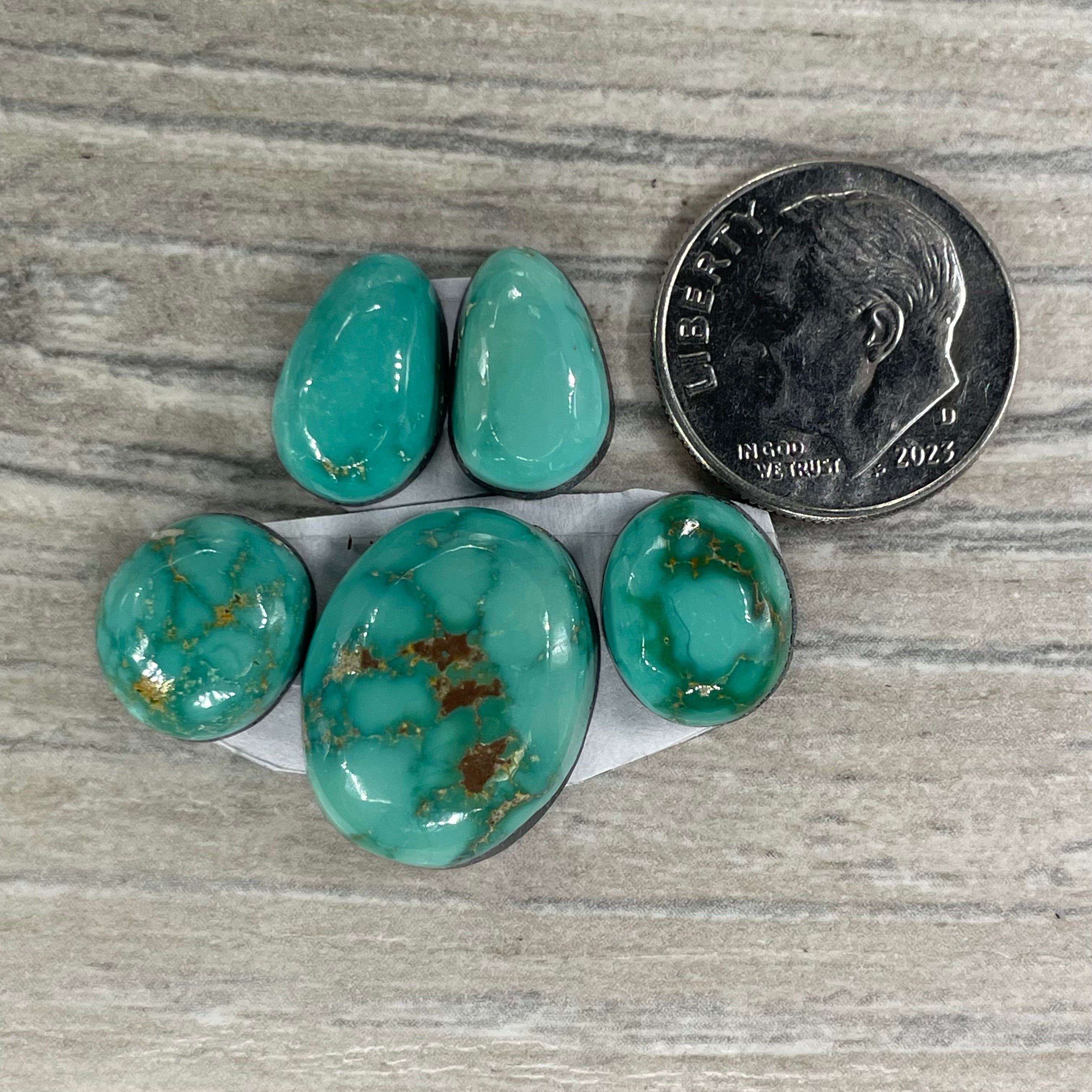 Sonoran Set – Peterson Turquoise